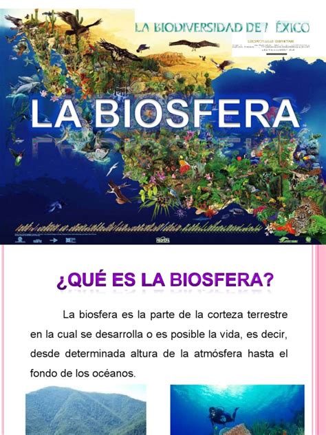 La Biosfera Definición Y Componentes Pdf