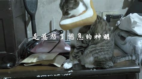 b站小剧场 哔哩哔哩 bilibili