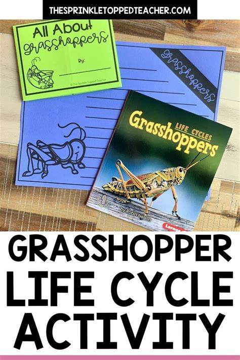 Grasshopper Life Cycle For The Classroom Grasshopper Life Cycle For