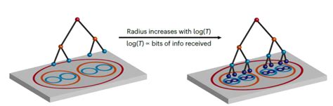 The Shape Of Experience And The Hyperbolic Geometry In The Brains Spatial Maps Geometry Matters