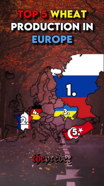 Top 5 Wheat Prodictuon In Europe Europe Mapping Geography Edit Keşfet Viral Youtube