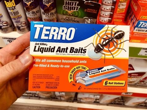 Borax Ant Killer Recipe Ratio Deedra Bounds