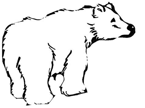 Disegno Di Orso Bruno Da Colorare Disegni Da Colorare E Stampare Gratis