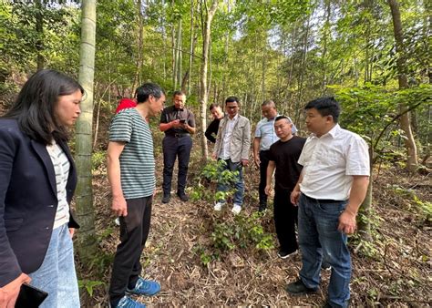 台州学院 天台道地乌药联合研发中心揭牌 台州学院生命科学学院