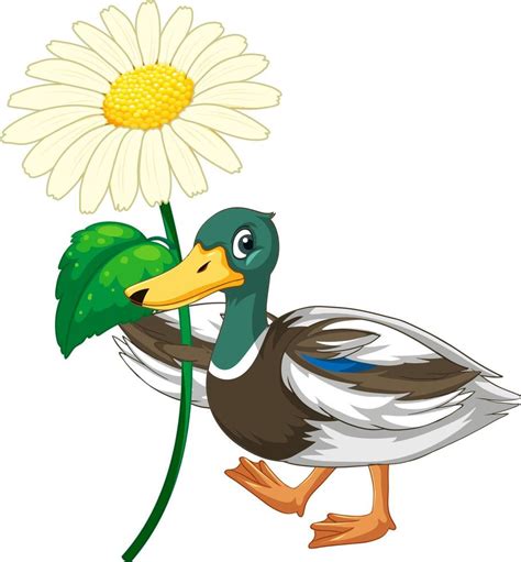 Duck With Green Head Cartoon Character 19850023 Vector Art At Vecteezy