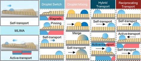 Geometry Gradient Magnetocontrollable Lubricant Infused Microwall Array For Passiveactive