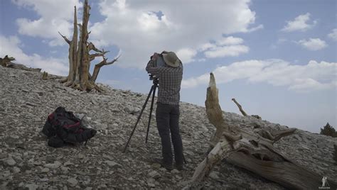 The Process Of Focus Stacking Large Format Film Fstoppers