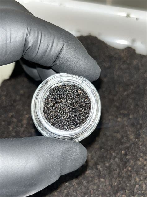 Vanilla Caviar Black Market Vanilla