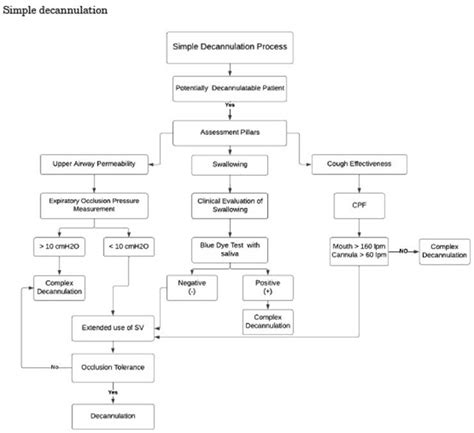 Ramr Volume 25 Number 1 Decannulation In A Tracheostomized Patient