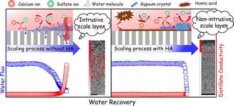 Membrane Research Atrr