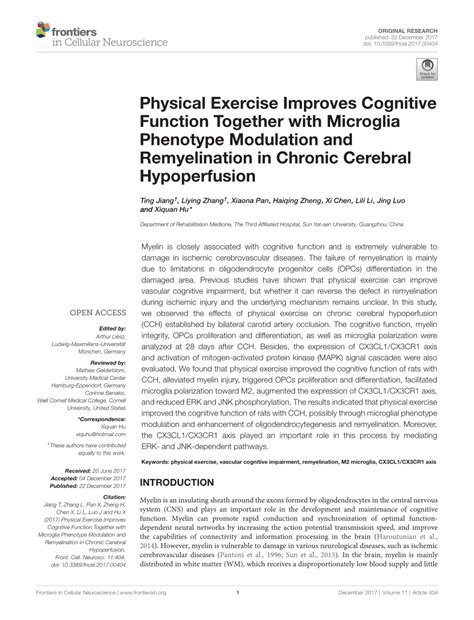 Pdf Physical Exercise Improves Cognitive Function Together With Microglia Phenotype Modulation