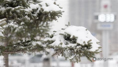 Бороо нойтон цас орж цасан шуурга шуурна