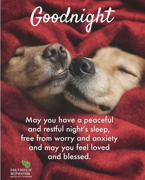 Pin On Eveningnight Blessings Beautiful Good Night Quotes Good