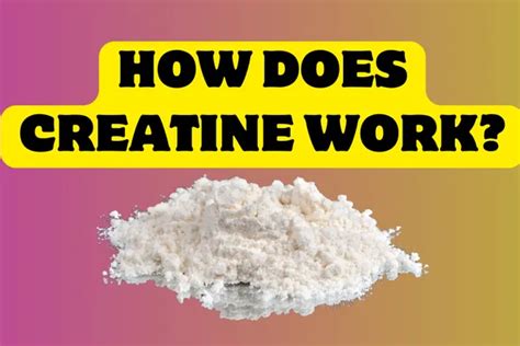 Creatine Loading Phase Explained Benefits Risks
