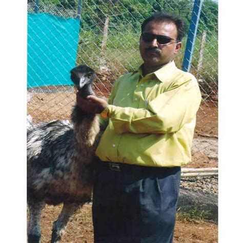 Emu Farming19 At Best Price In Mumbai Id 2321871633