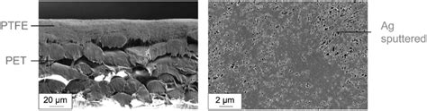Analysis Of Electrode Microstructure By Scanning Electron Microscopy