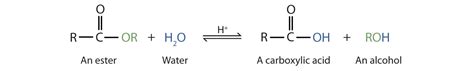 Ester Examples