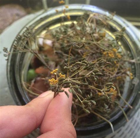 Elena Rizza Art Made In Sicily