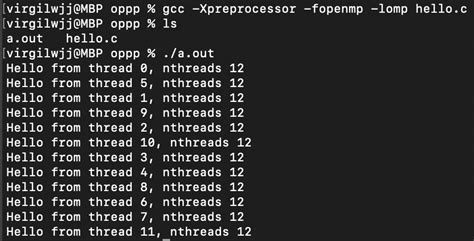 Macos Openmp Virgilwjj