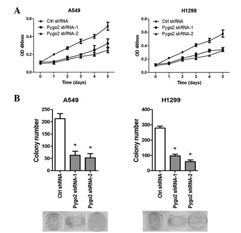 Overexpression Of Pygopus‑2 Is Required For Canonical Wnt Activation In