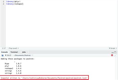 Manage Your R Packages With Packrat Tilburg Science Hub