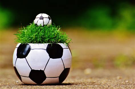 무료 이미지 잔디 놀이 귀엽다 프랑스 축구 경기장 스포츠 장비 2016 년 경쟁 여자 이름 공 이상한