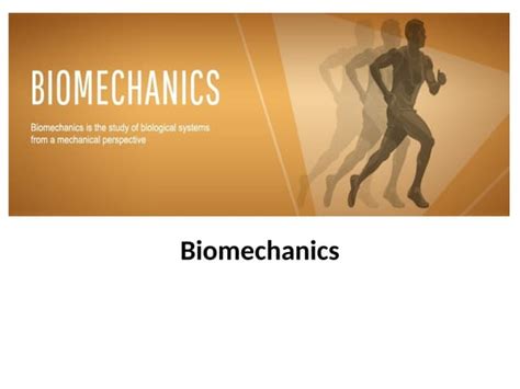 Morphogenetic Movements Developmental Biology Pptx