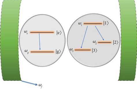 a sketch of two and three level atoms interact with a single mode of a