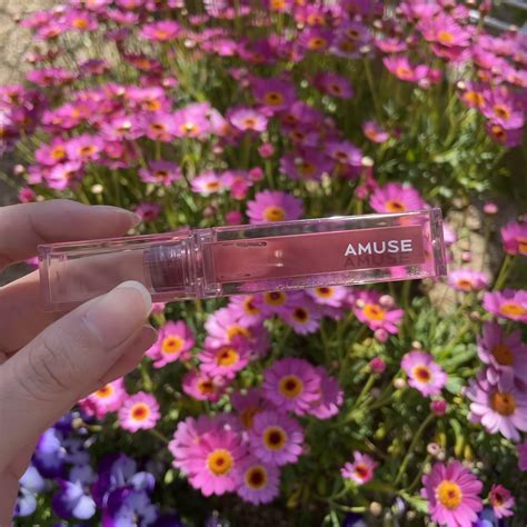 ブルベさん必見 Amuseのmlbbカラーのティント💄 Nom De Plumeノンデプルーム