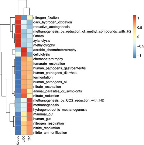 Tax Fun Function Annotation Clustering Heat Map According To The