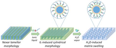 Co Journal Of Membrane Science X Mol