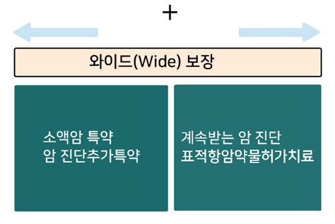 우체국 암보험 비갱신형 다이렉트 암보험 보장 내용 서민정보센터