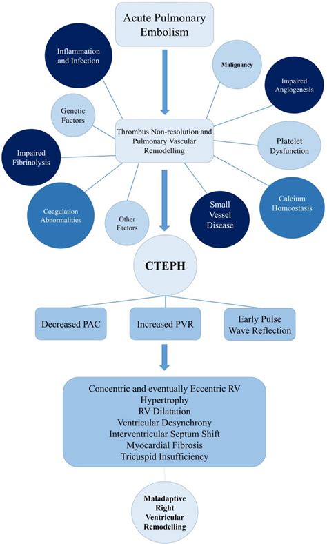Reviews In Cardiovascular Medicine On Linkedin From Pulmonary Embolism
