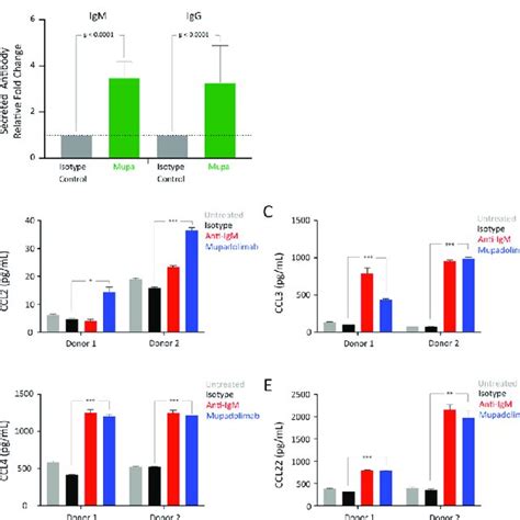 Mupadolimab Activates Human B Cells To Secrete Immunoglobulin And