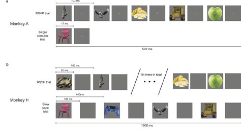 Figure 1 From Decoding Rapidly Presented Visual Stimuli From Prefrontal Ensembles Without Report
