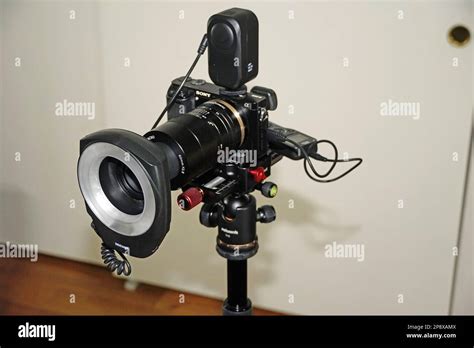 Macro Photography Set Up Digital Camera And Lens Stock Photo Alamy