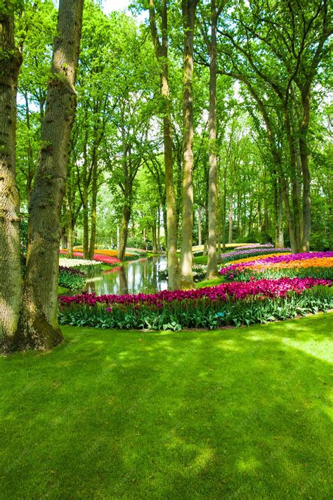 Keukenhof 정원 Lisse 네덜란드의 튤립 밭 무료 사진