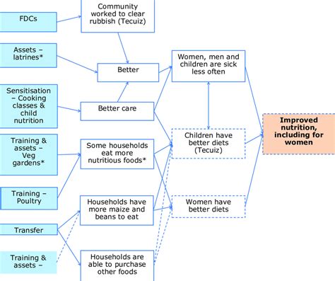 8 The Overall W N Outcomes And Their Causal Linkages The Asterisk Download Scientific