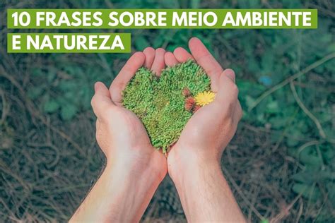 Citações Sobre O Meio Ambiente Braincp