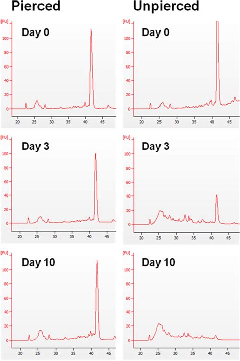 Electropherogram Assessment Of Rna Integrity From Pierced And Unpierced