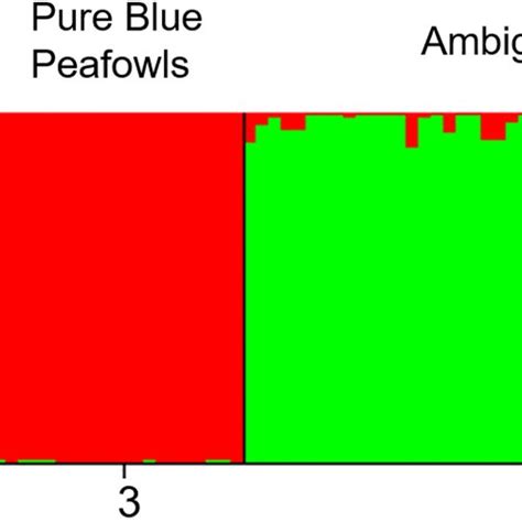Genetic Clustering Analysis Using Structure With An Assumption Of Two Download Scientific