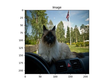 activation maximization with tensorflow 2 based keras for visualizing