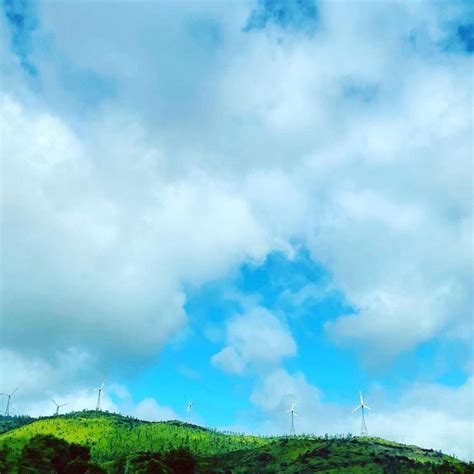 Microsoft Windows Desktop Background