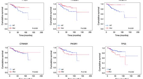 Association Between Overall Survival In Ucec Patients And Somatic