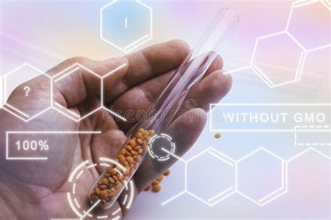 Research And Development Of New Varieties Of Seeds Selection And
