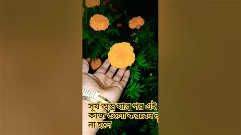 সূর্য ডাকার পর এই ধরনের কাজ কখনোই করবেন না মারাত্মক বিপদ কৃষ্ণ সূর্যাস্ত কৃষ্ণকথা Krishna