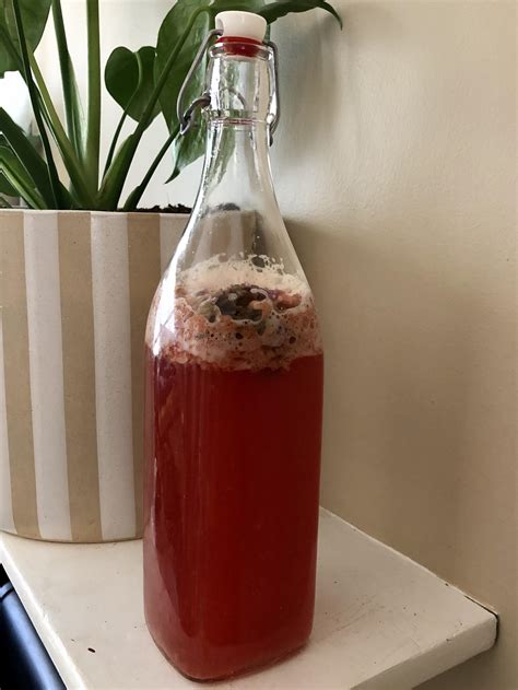 Raspberry Lavender Booch 👌🏾 R Kombucha