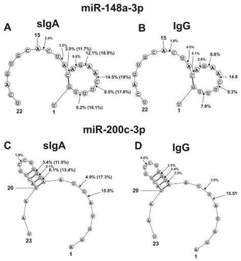 Ijms Free Full Text Micrornas Of Milk In Cells Plasma And Lipid