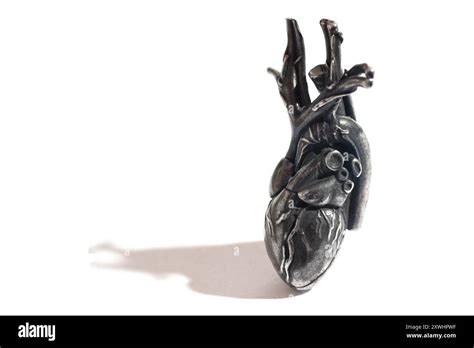 Dark Steel Model Of A Human Heart Depicting Detailed Anatomical Structures And Vessels Ideal