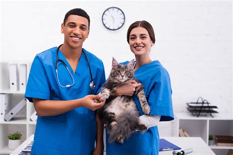 174000 In Scholarships Support Dei Efforts In Veterinary Medicine